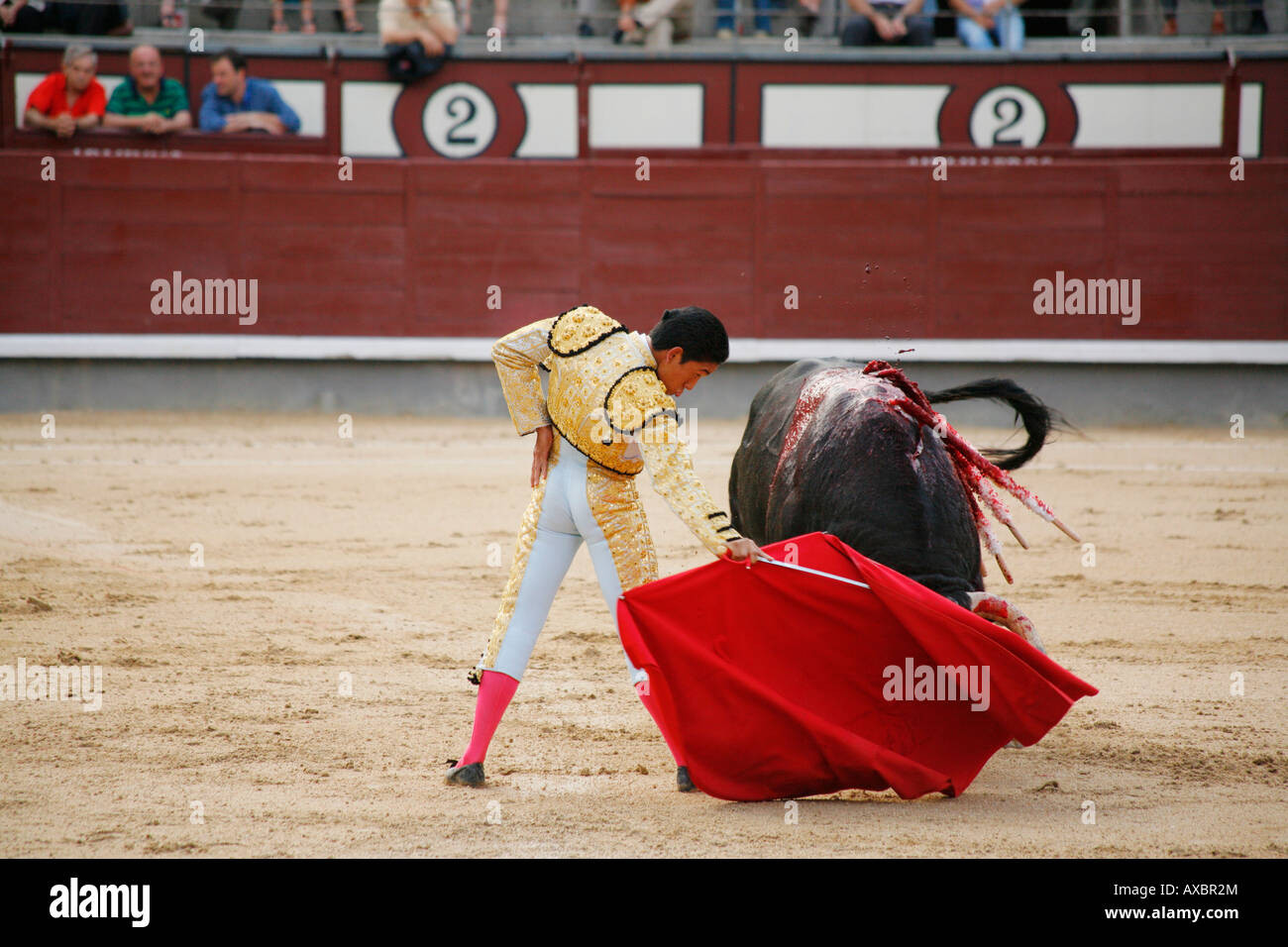Bullfighting, Las Ventas arena, Madrid, Spain Stock Photo - Alamy