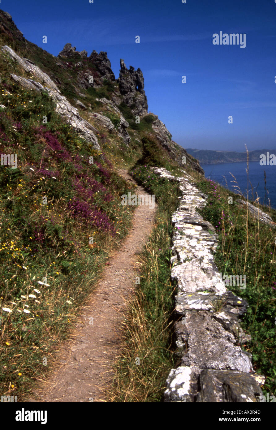 On The Courtenay Walk below Sharp Tor, near Salcombe South Devon Stock ...