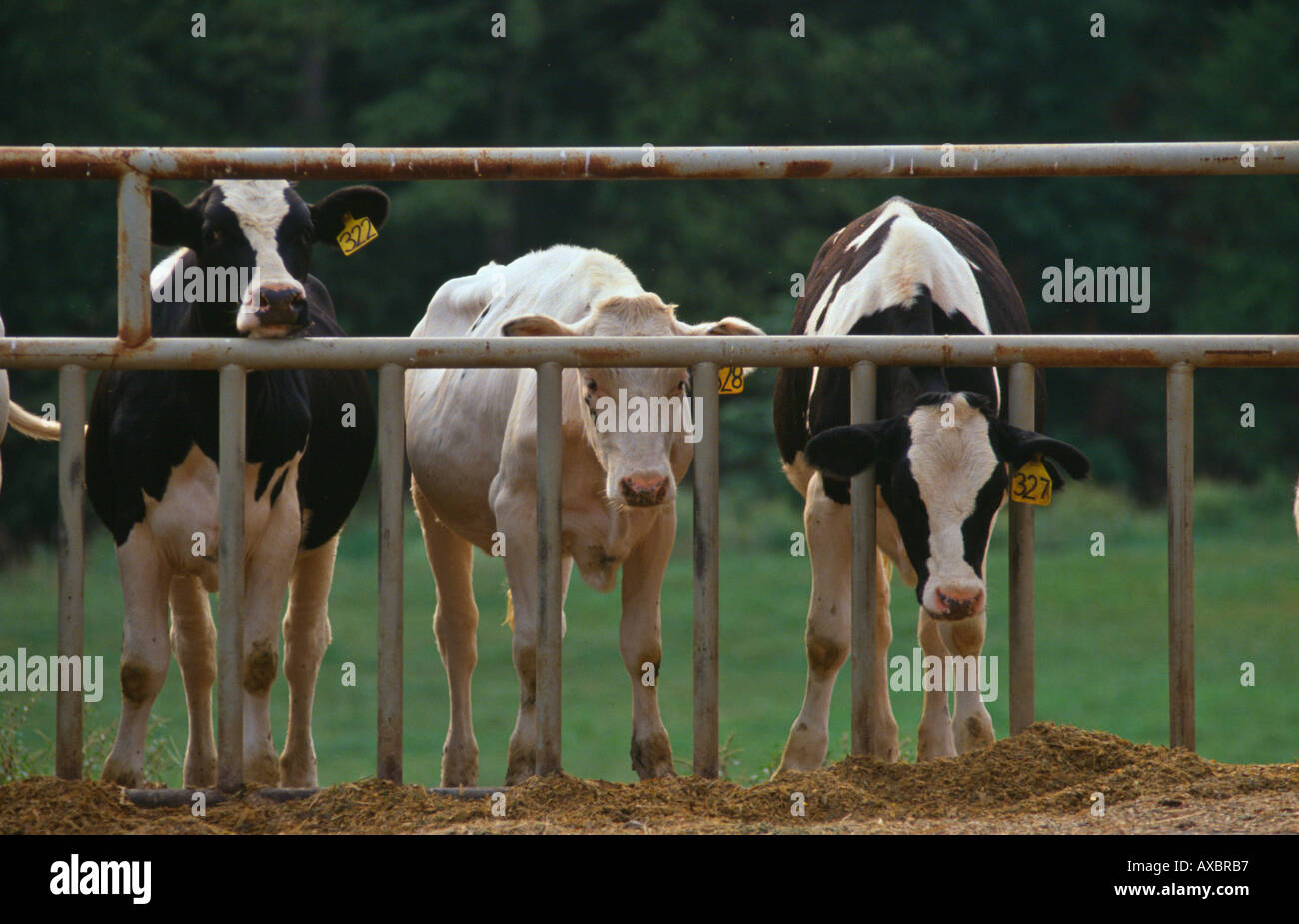 Salunga hi-res stock photography and images - Alamy