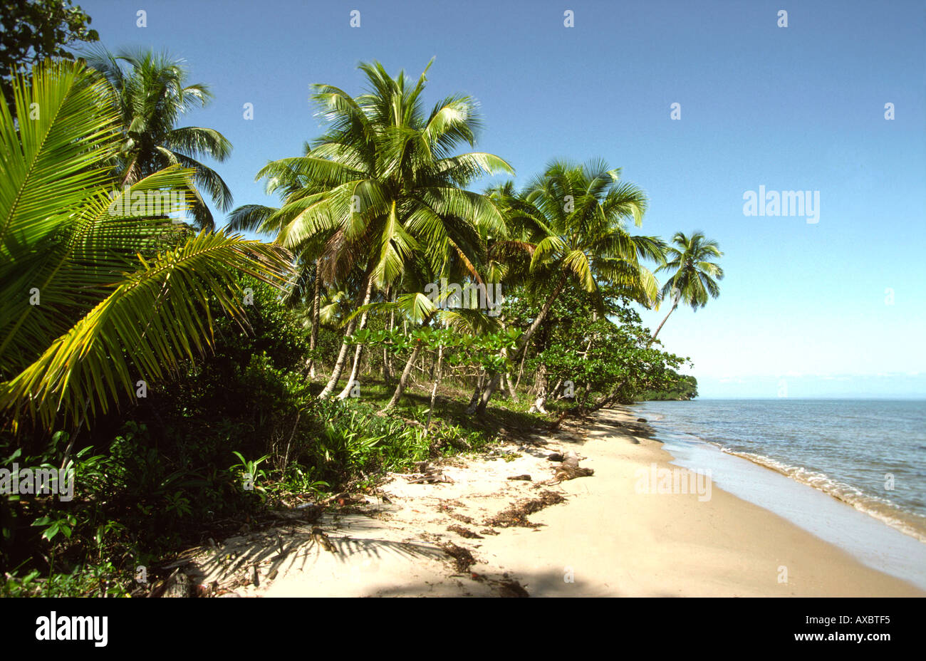 Guatemala Cocoli beach deserted Caribbean coast Stock Photo - Alamy