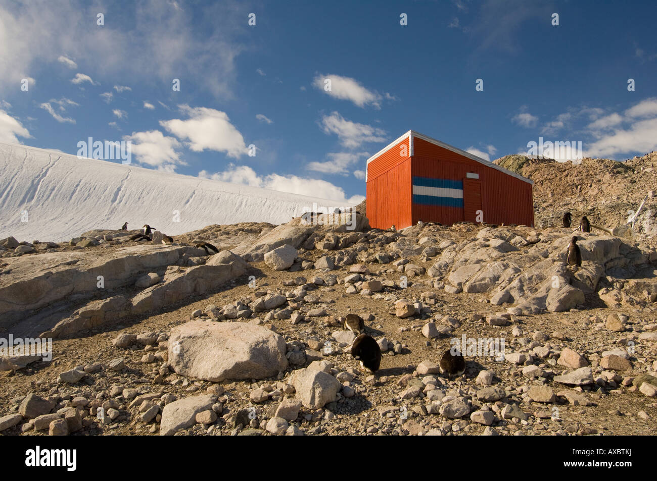 Antarctica Antarctic Peninsula Gerlache strait Neko Harbor Emergency ...