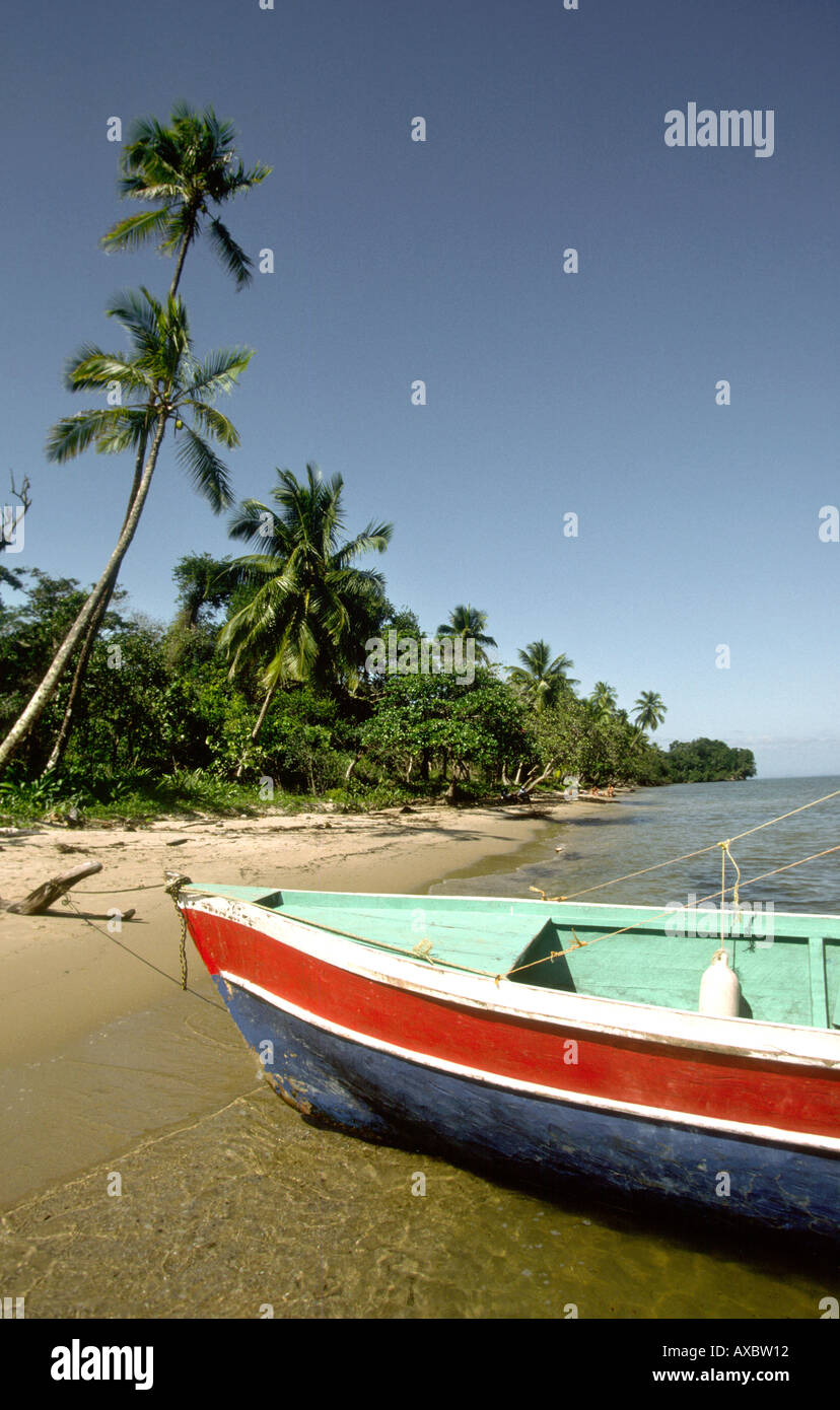 Cocoli hi-res stock photography and images - Alamy