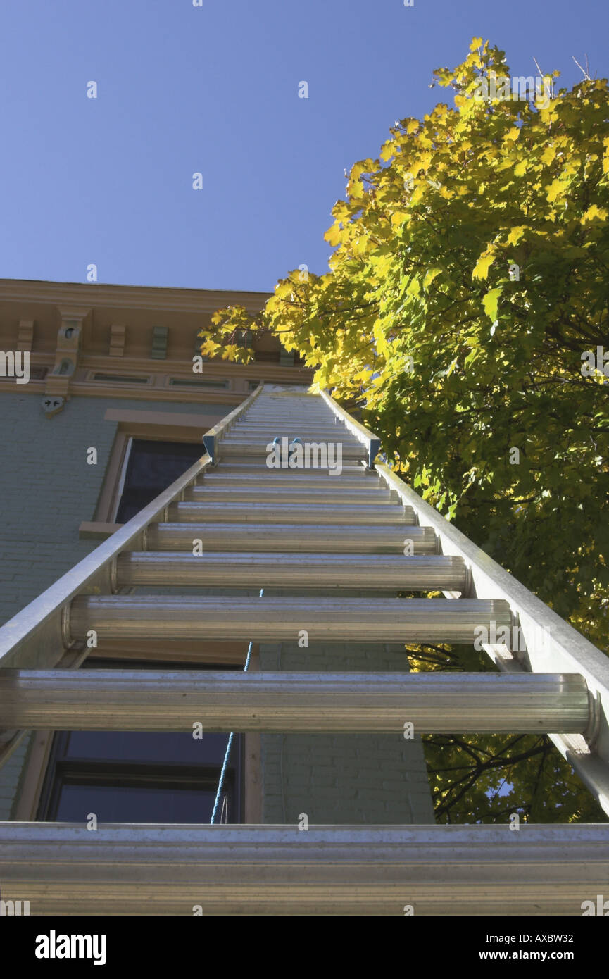Vertical close up view of ladder against building from below Stock ...