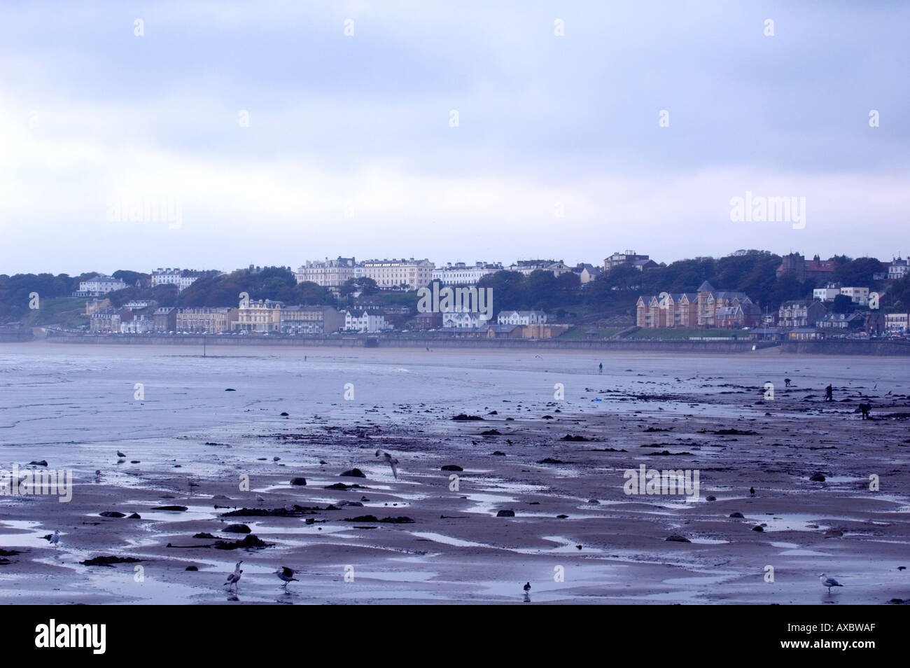 Filey From Filey Brigg Stock Photo - Alamy