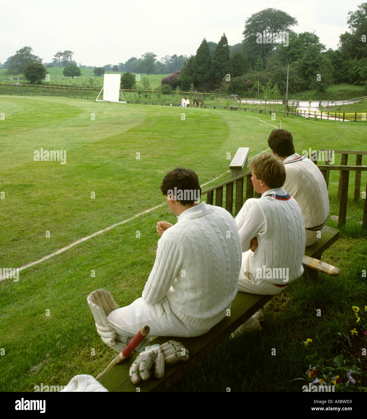 Boundary cricket cricketers hi-res stock photography and images - Alamy