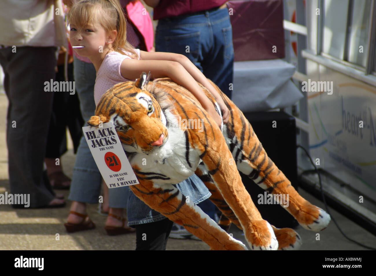 happy fair prize winner cuddling tiger soft toy river medway maidstone ...