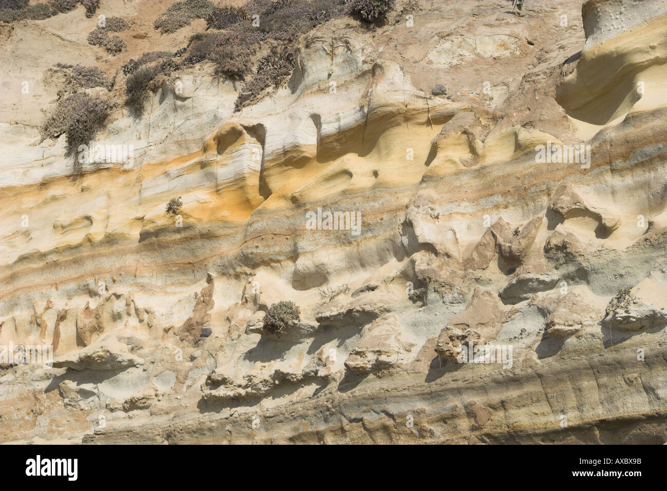 Horizontal colour image of striated rock formations from beach Stock ...
