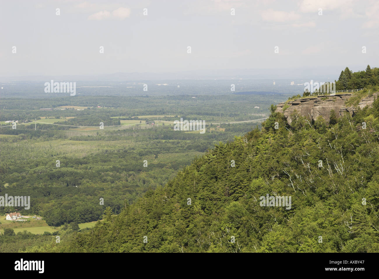 View of trees from ledge at top of mountain Stock Photo - Alamy