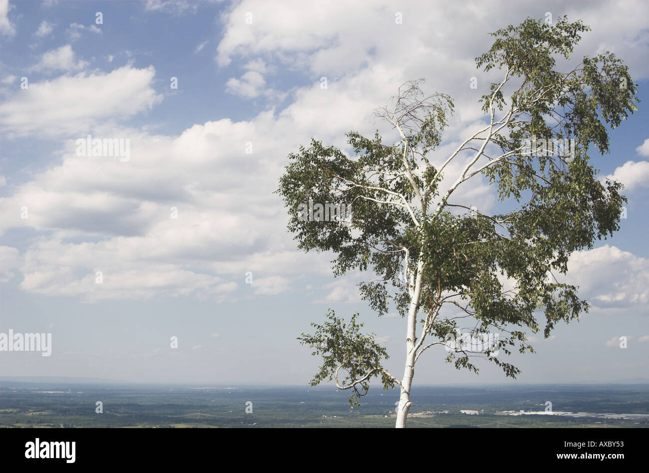 Pathway extending hi-res stock photography and images - Alamy