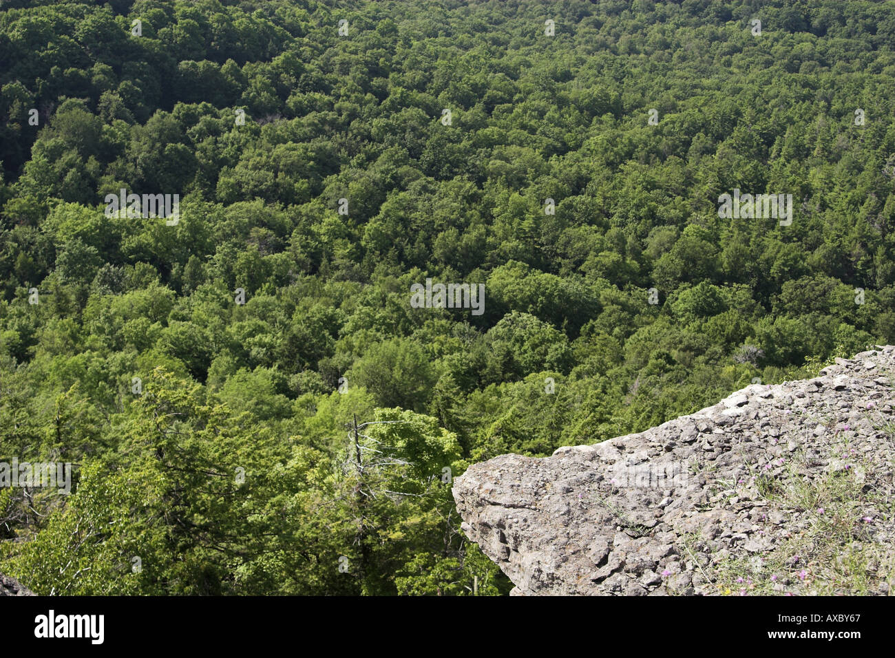 View of trees from ledge at top of mountain Stock Photo - Alamy