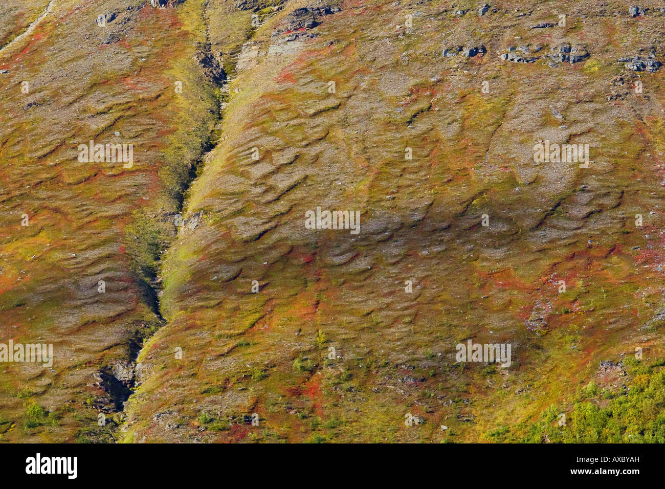 Solifluction hi-res stock photography and images - Alamy