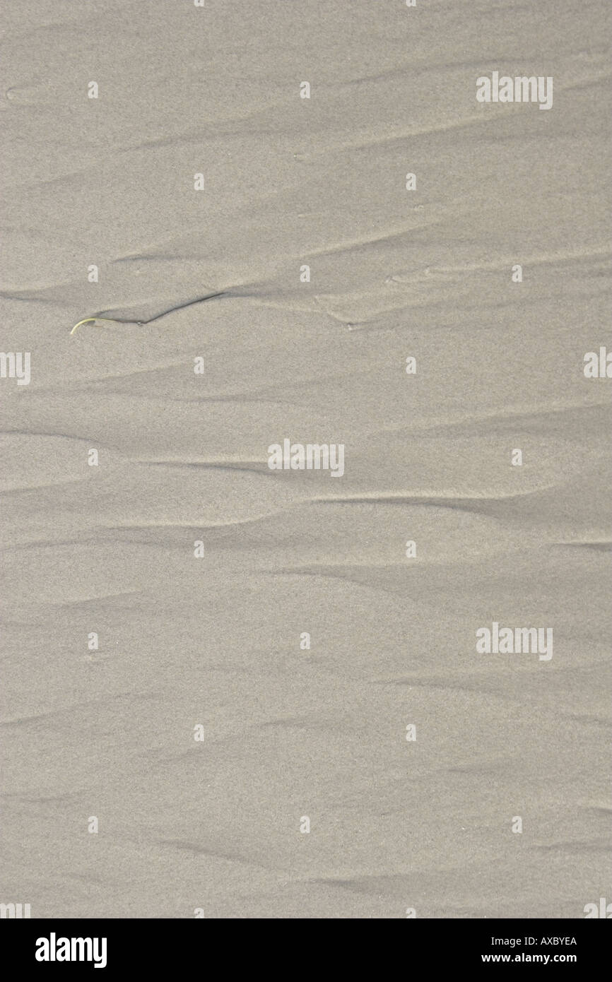 vertical image of patterns in sand on beach Stock Photo - Alamy
