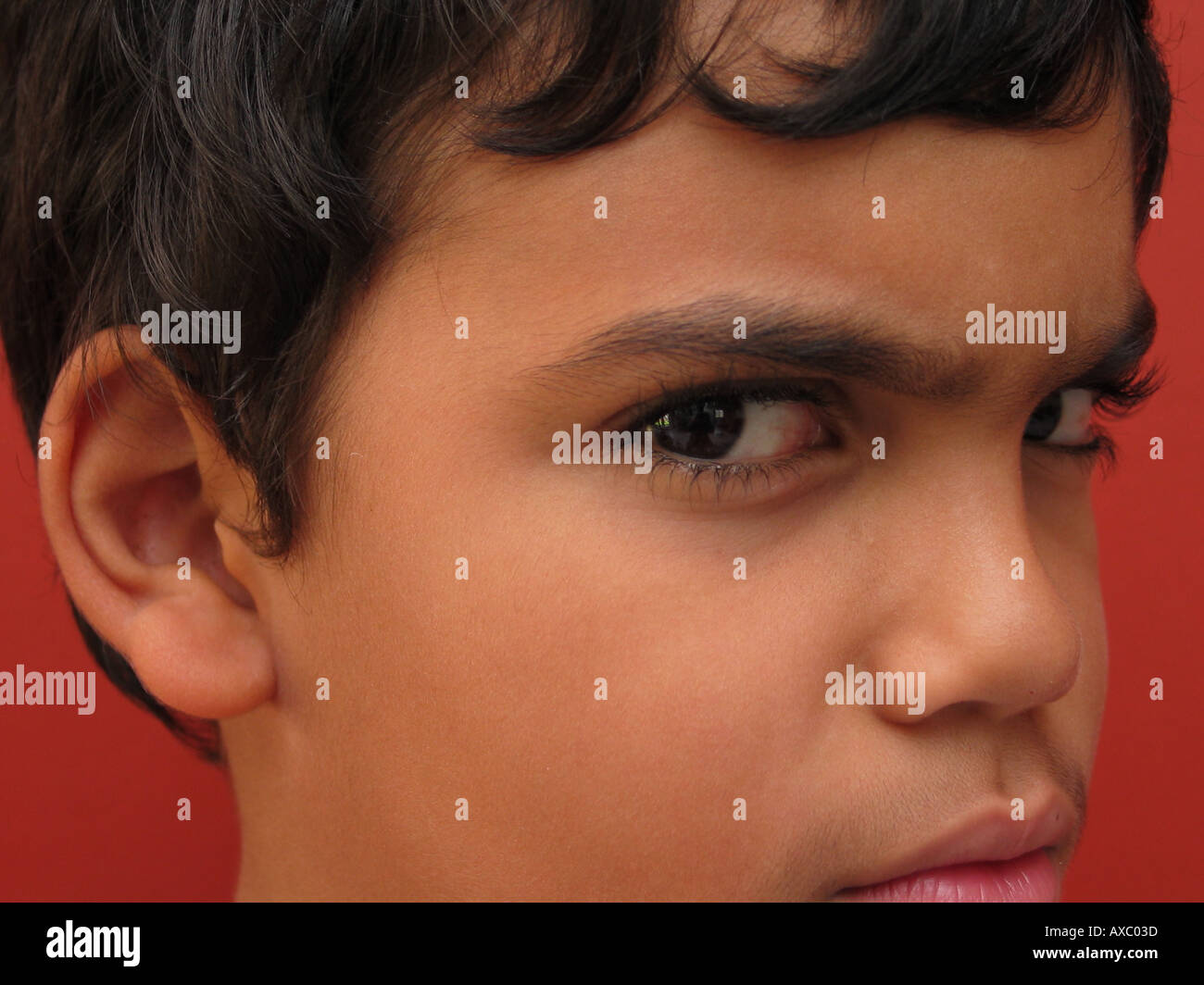 Mad staring eyes hi-res stock photography and images - Alamy