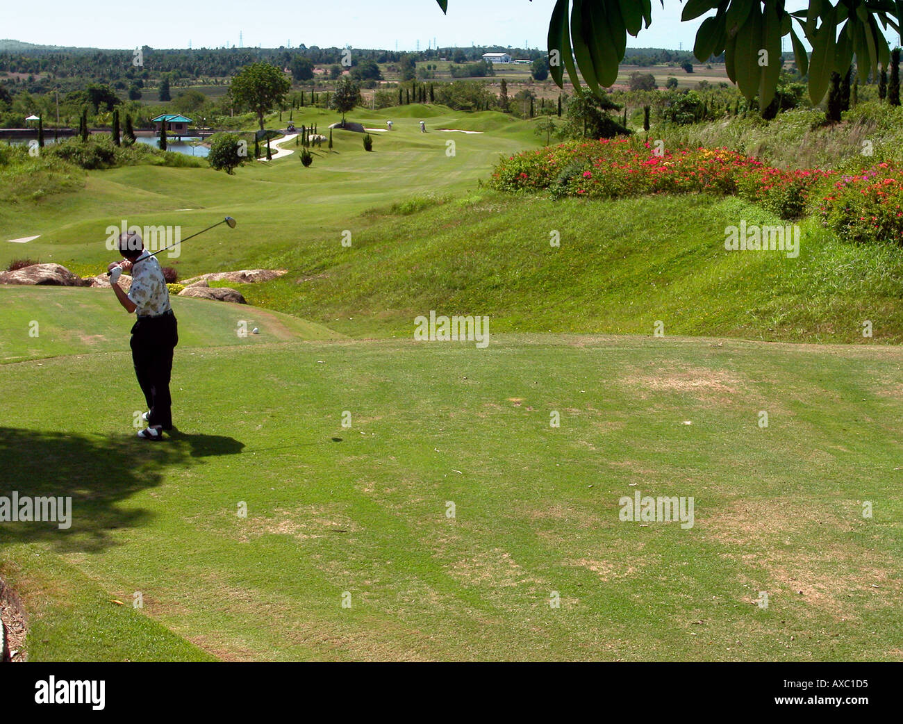 Desmond muirhead design hi-res stock photography and images - Alamy