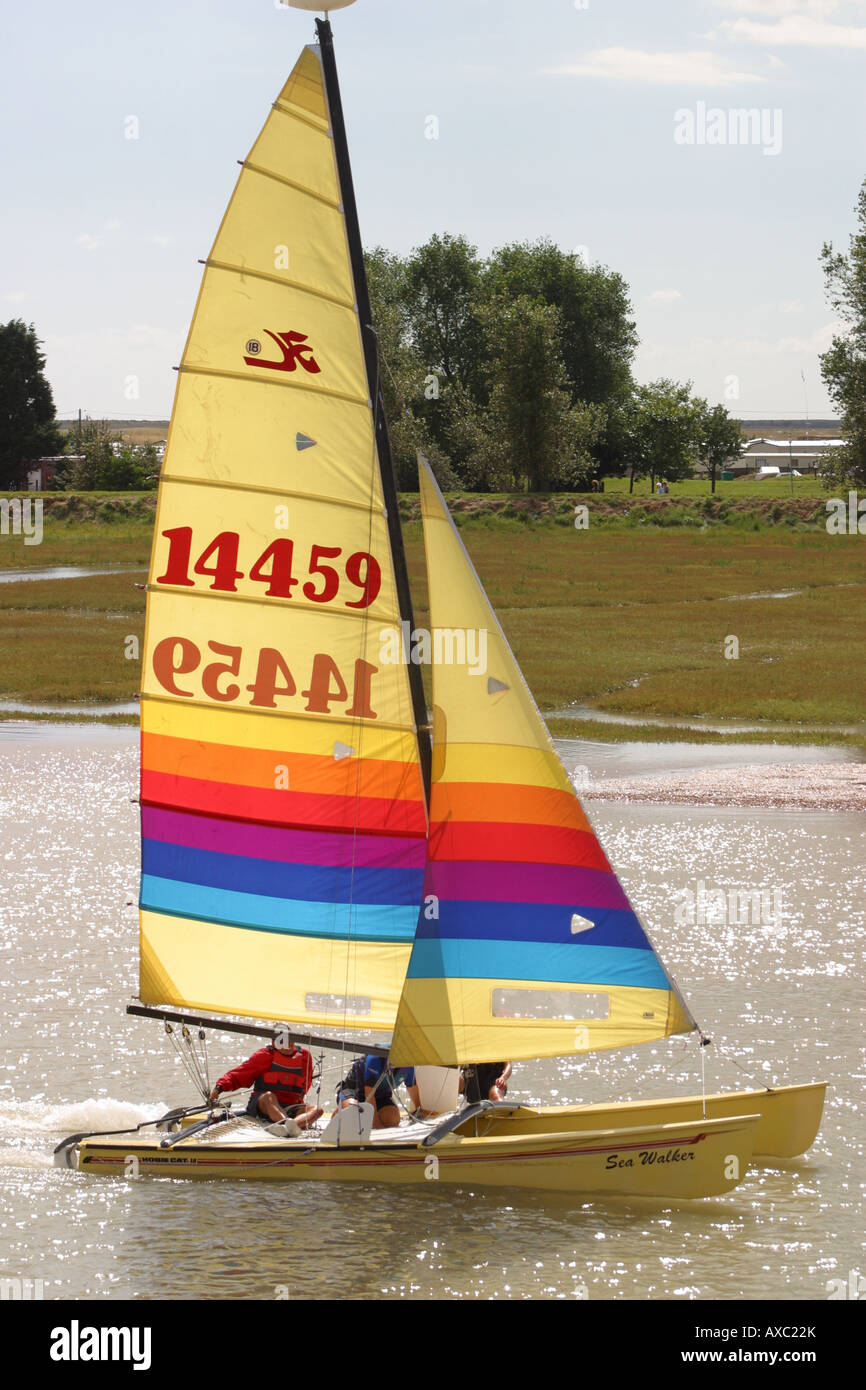 custom dual boat catamaran yellow sail sailing river rother rye east ...