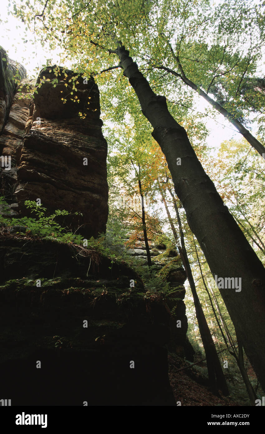 Sedimentary log hi-res stock photography and images - Alamy
