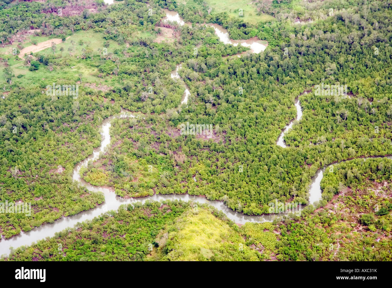 Aerial photograph of a disturbed forest in Coron, Busuanga, Palawan ...