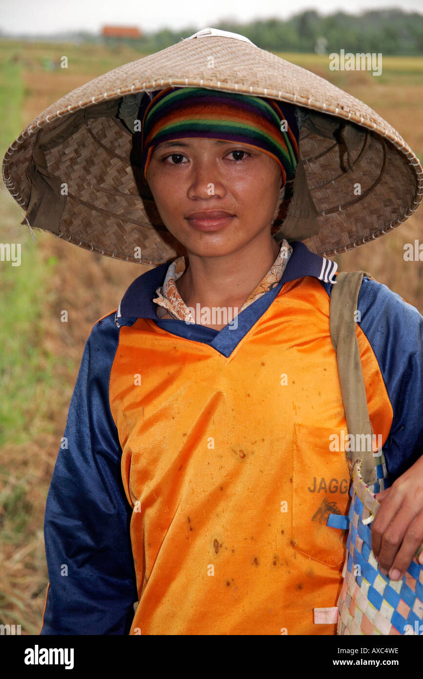 Woman paddyfield hi-res stock photography and images - Alamy