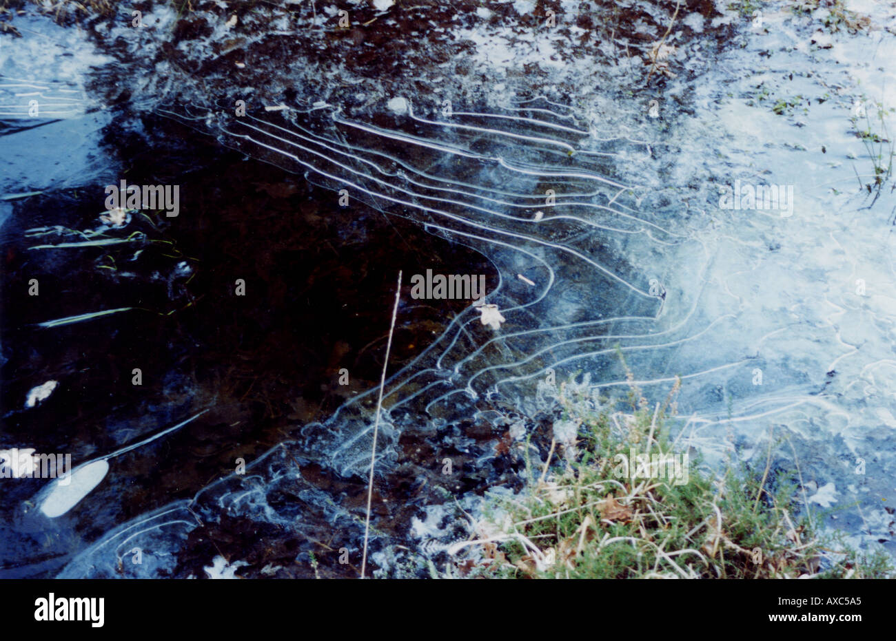 Iced over river New Forest England Stock Photo - Alamy