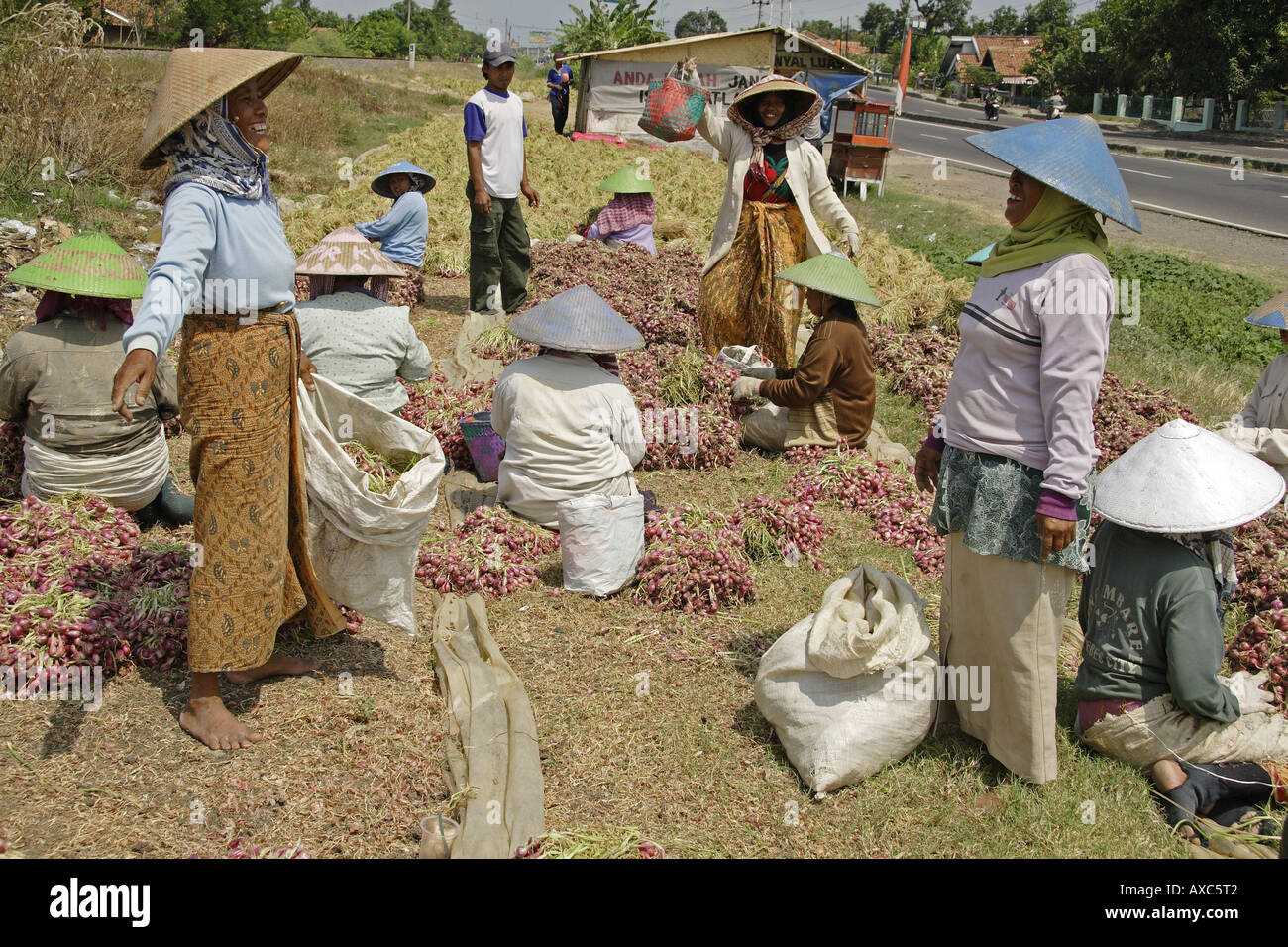 Labour intensive farming hi-res stock photography and images - Alamy