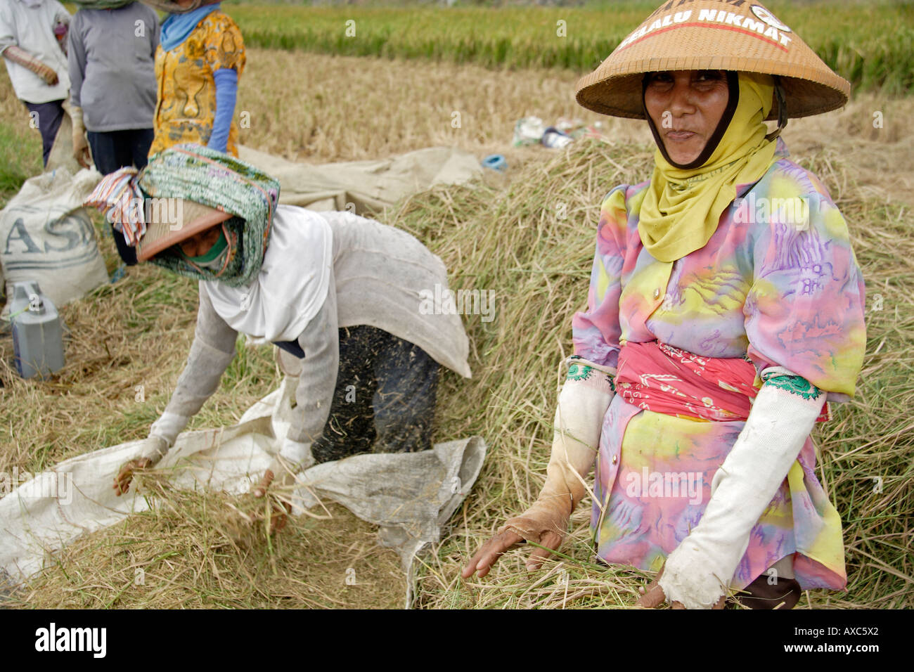 Indonesia economy agriculture hi-res stock photography and images - Alamy