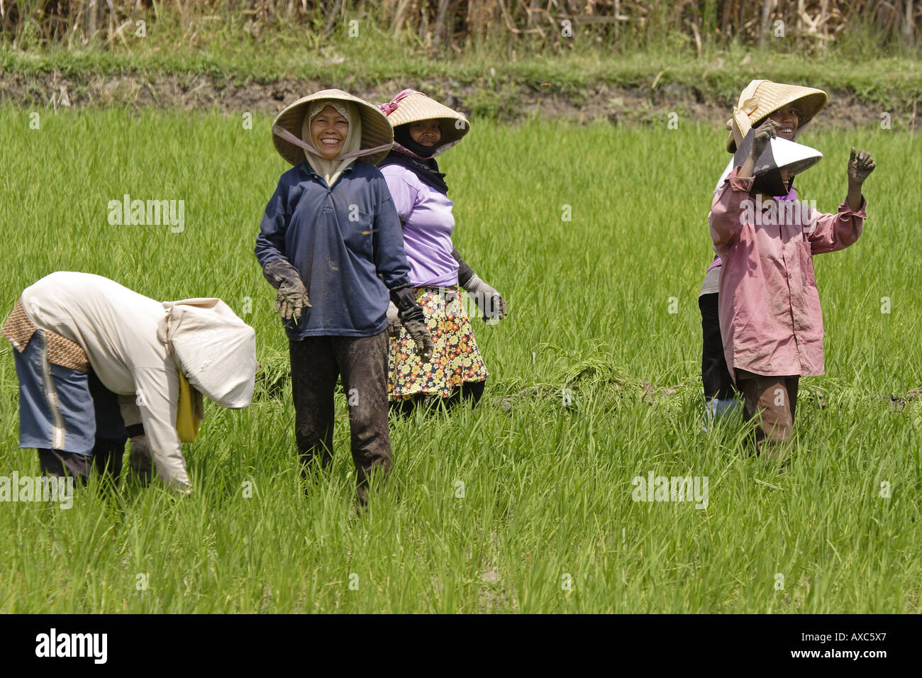 Commnal hi-res stock photography and images - Alamy