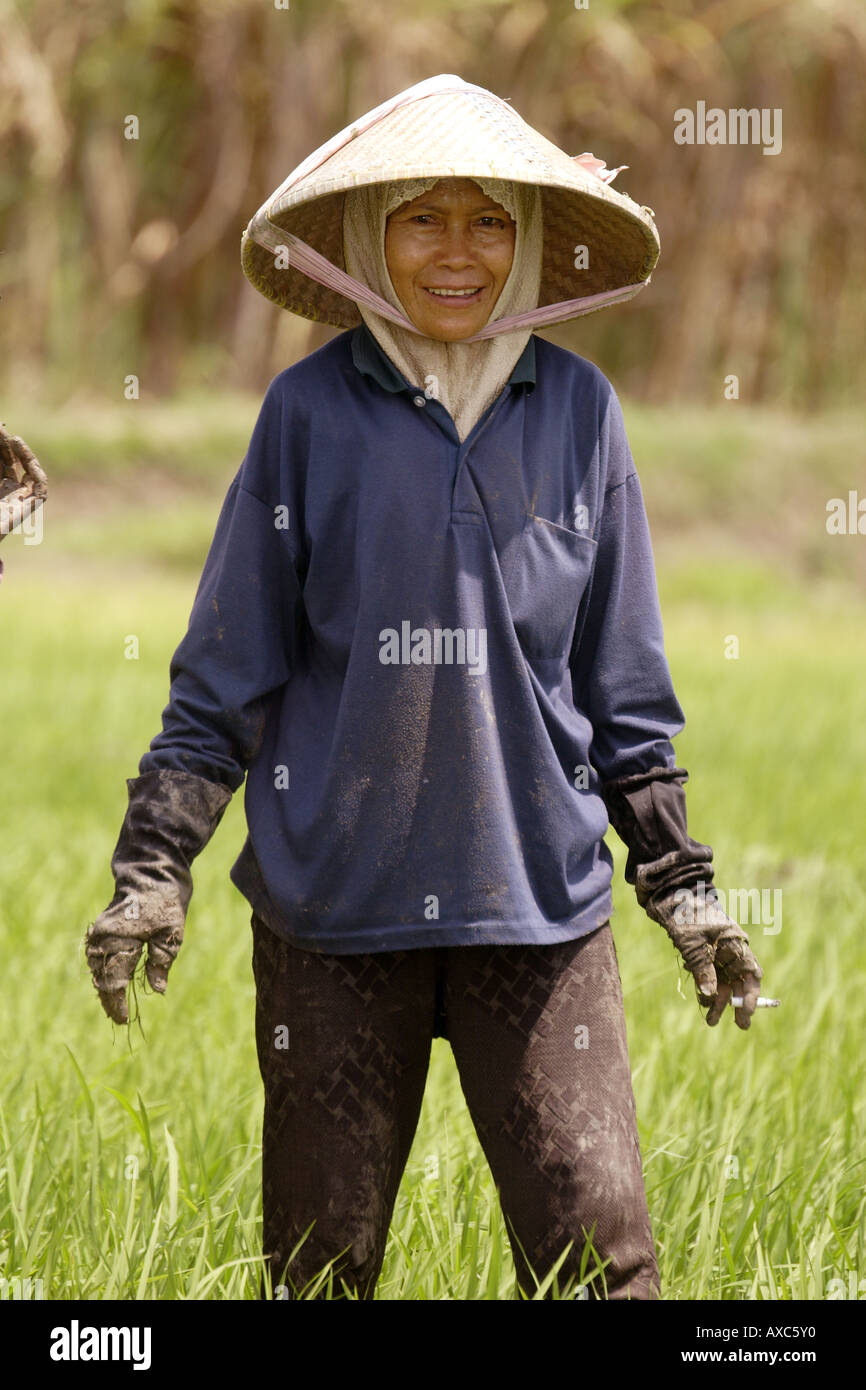 Women rice paddy cirebon java hi-res stock photography and images - Alamy