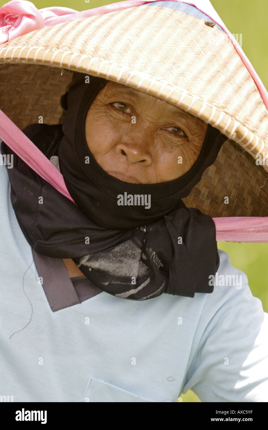 Women rice paddy cirebon java hi-res stock photography and images - Alamy