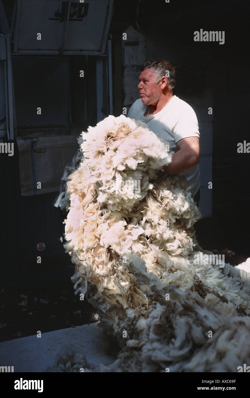 Farmer cutting wool hi-res stock photography and images - Alamy