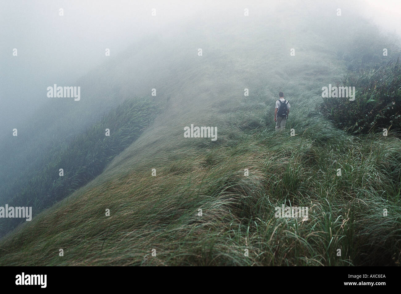 man walking on path in fog Stock Photo - Alamy