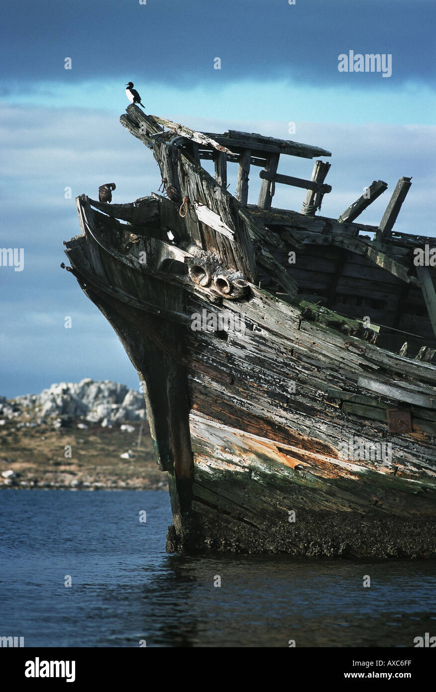Shipwreck in falkland islands hi-res stock photography and images - Alamy