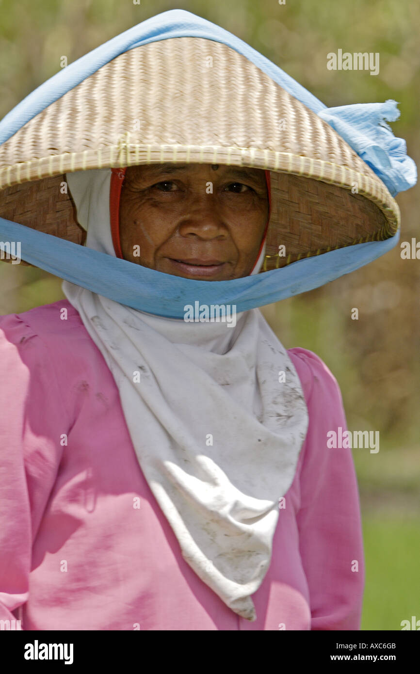 Women rice paddy cirebon java hi-res stock photography and images - Alamy