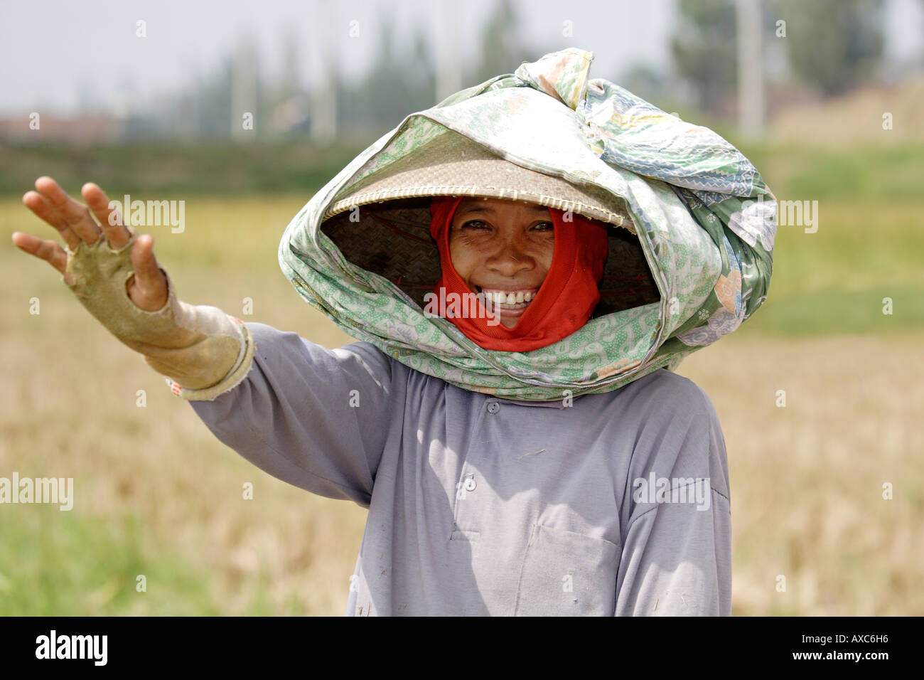 Worker rice paddy Tegal Java Indonesia Stock Photo - Alamy