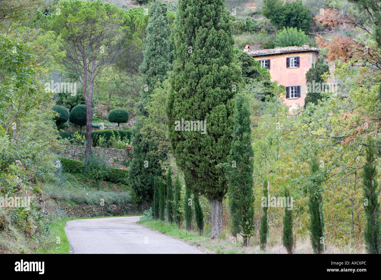 Frances Mayes house Girasole Cortona Tuscany Italy Stock Photo - Alamy