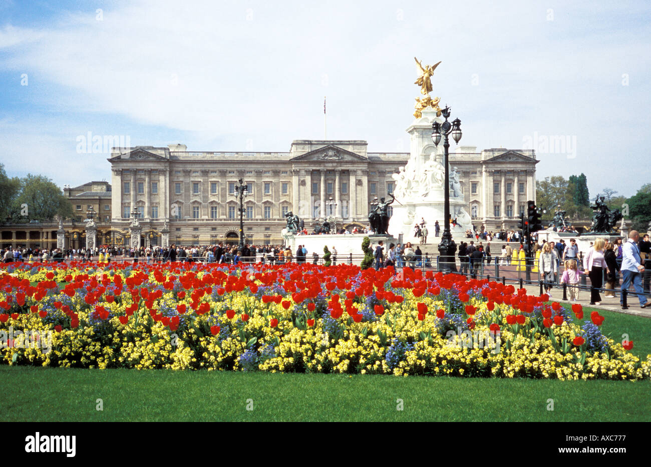 Buckingham Palace with tulips London England Stock Photo - Alamy