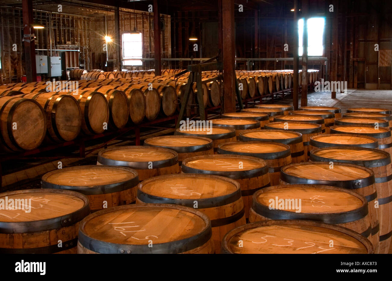 Warehouse holding hundreds of empty barrels ready to be filled with ...