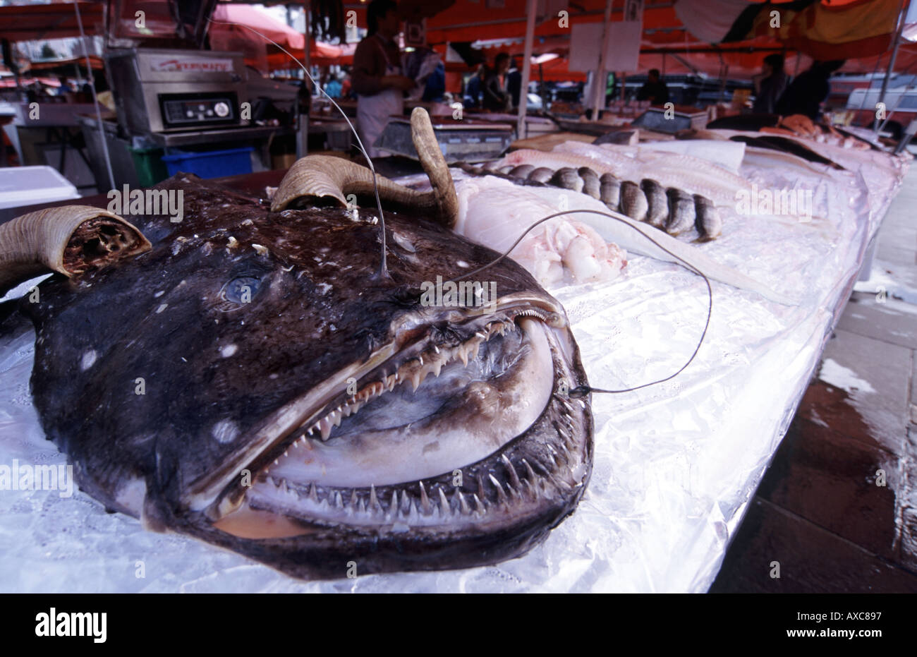 Fresh fish market in Bergen in Norway Stock Photo - Alamy