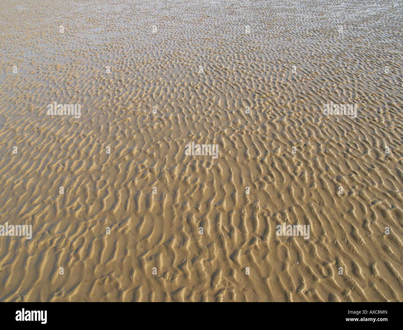 sand sandy shoreline wet channel ripples pattern Stock Photo - Alamy