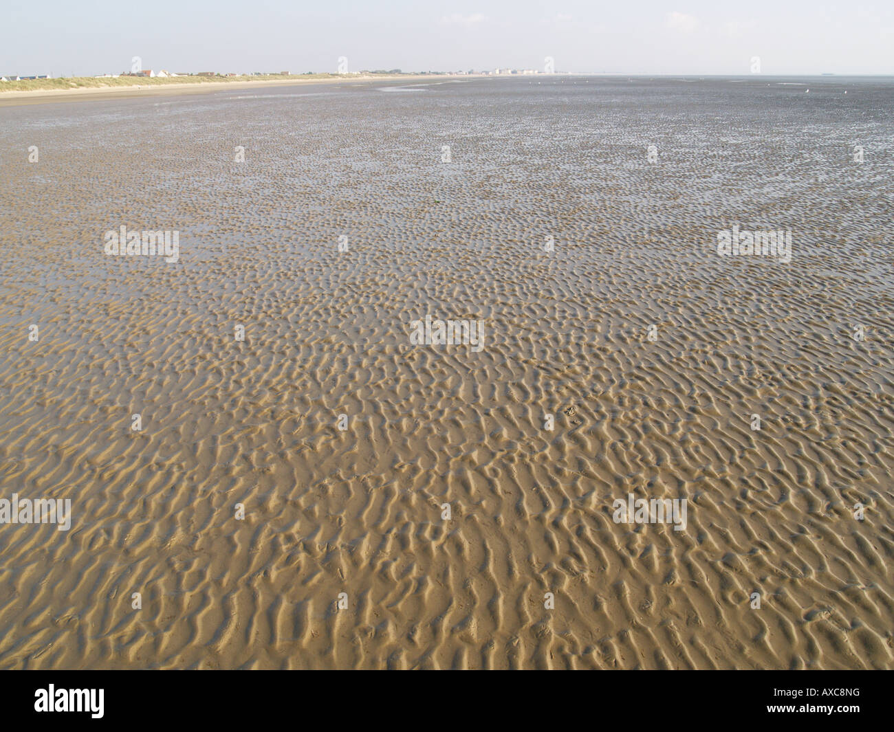 sand sandy shoreline wet channel ripples pattern Stock Photo - Alamy
