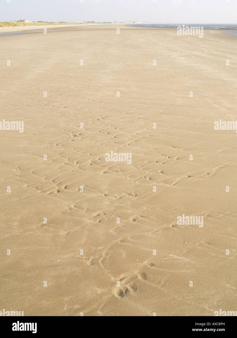 sand sandy shoreline wet channel ripples pattern beach st mary's bay ...