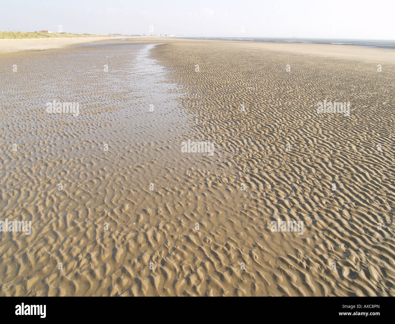 sand sandy shoreline wet channel ripples pattern beach st mary's bay ...
