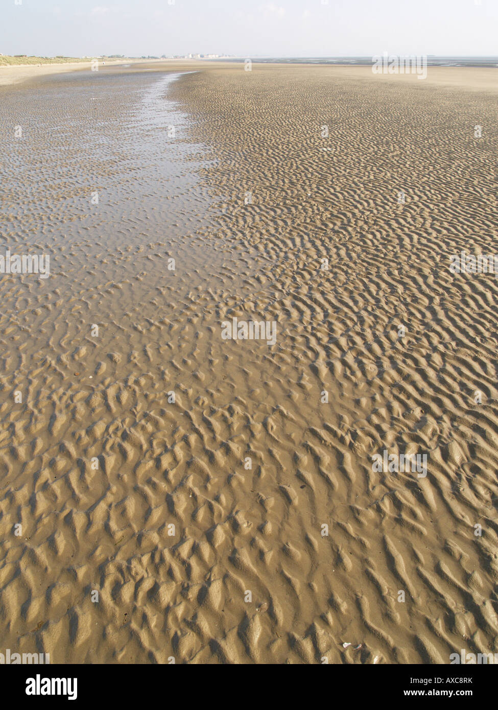 sand sandy shoreline wet channel ripples pattern beach st mary's bay ...