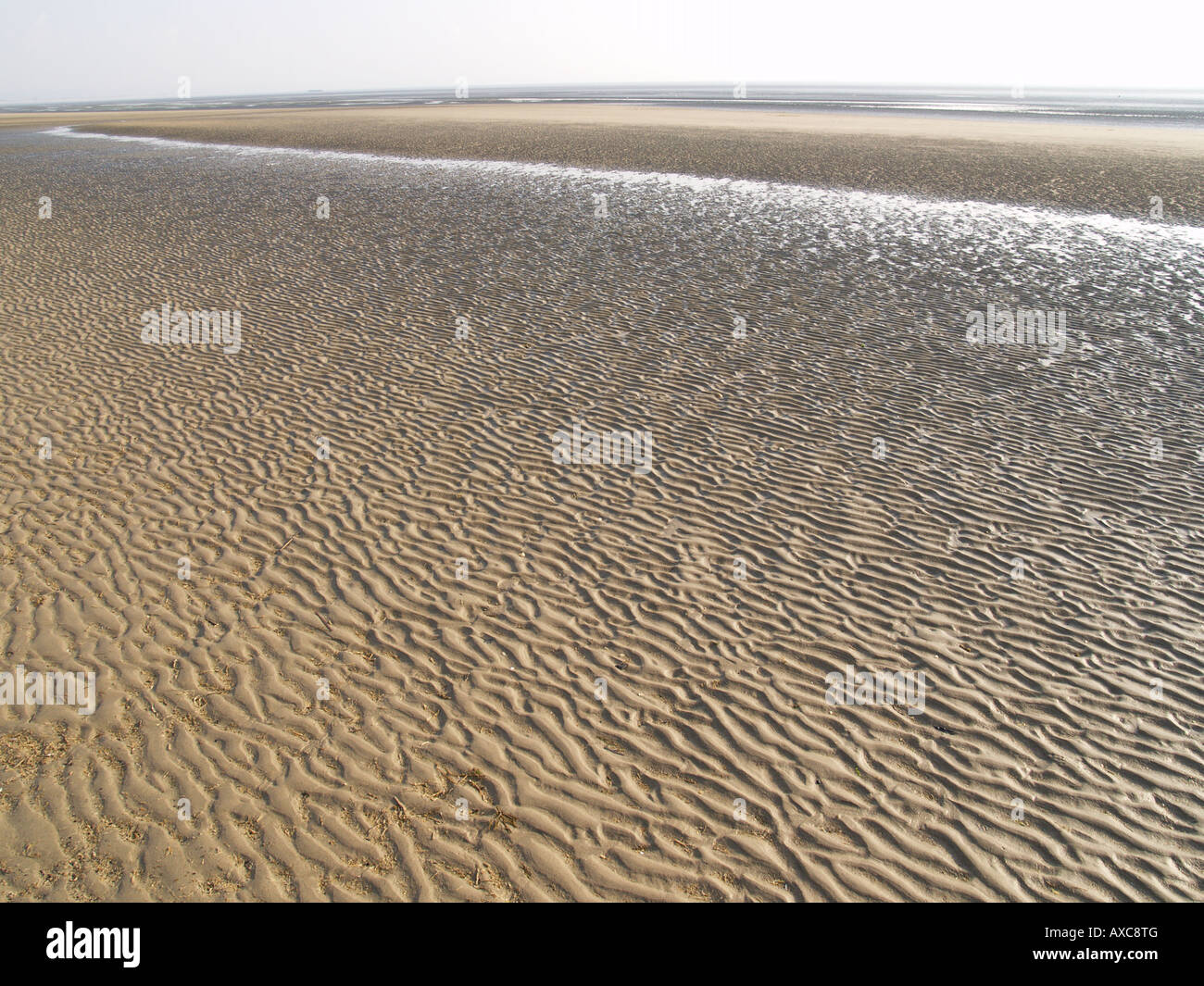 sand sandy shoreline wet channel receding tide beach st mary's bay kent ...