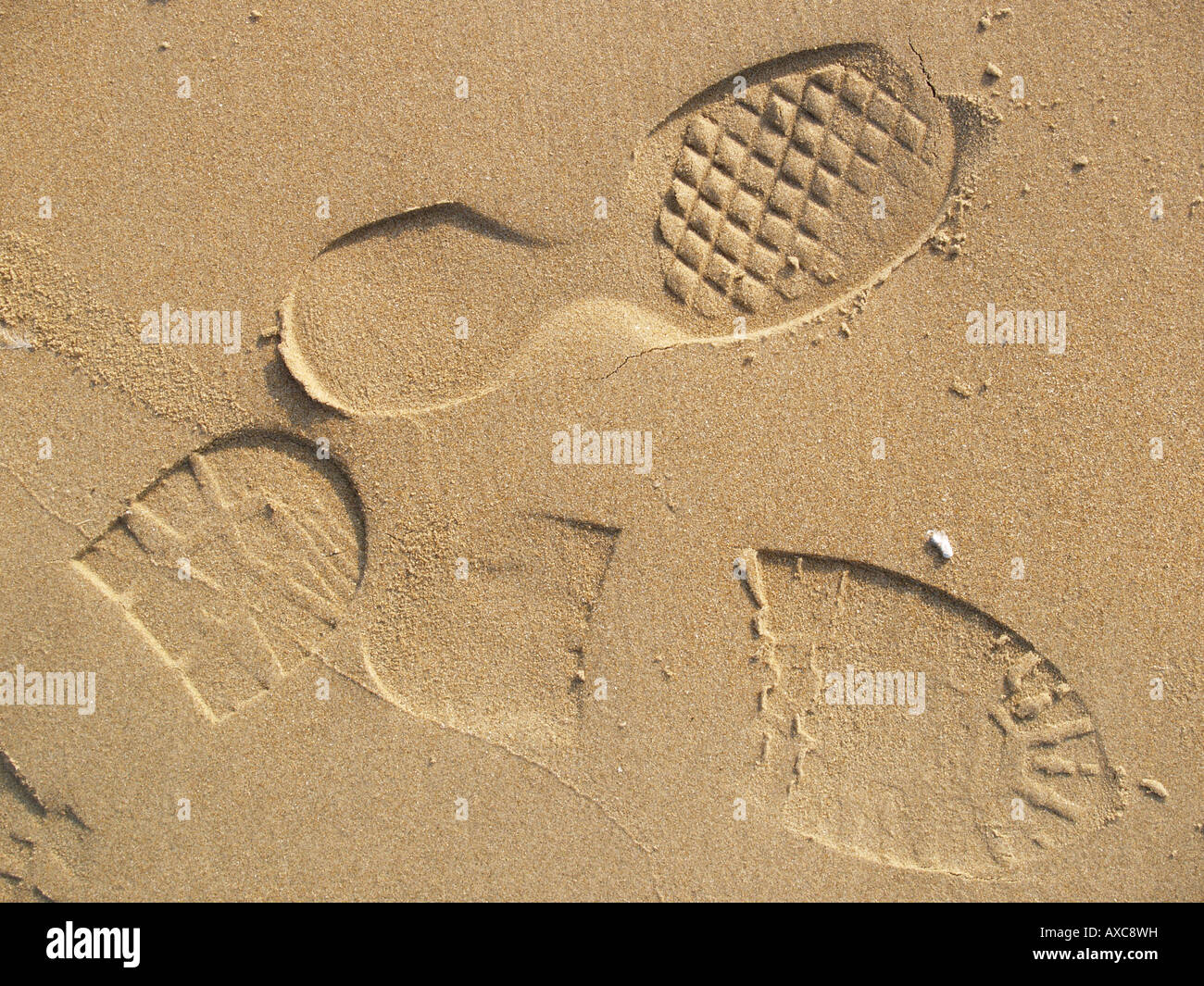 footprint boot print shoe in golden sand shadow Stock Photo - Alamy
