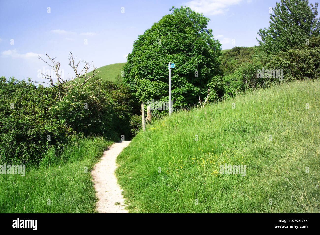 the chilterns views from ridgeway footpath beacon hill Stock Photo - Alamy
