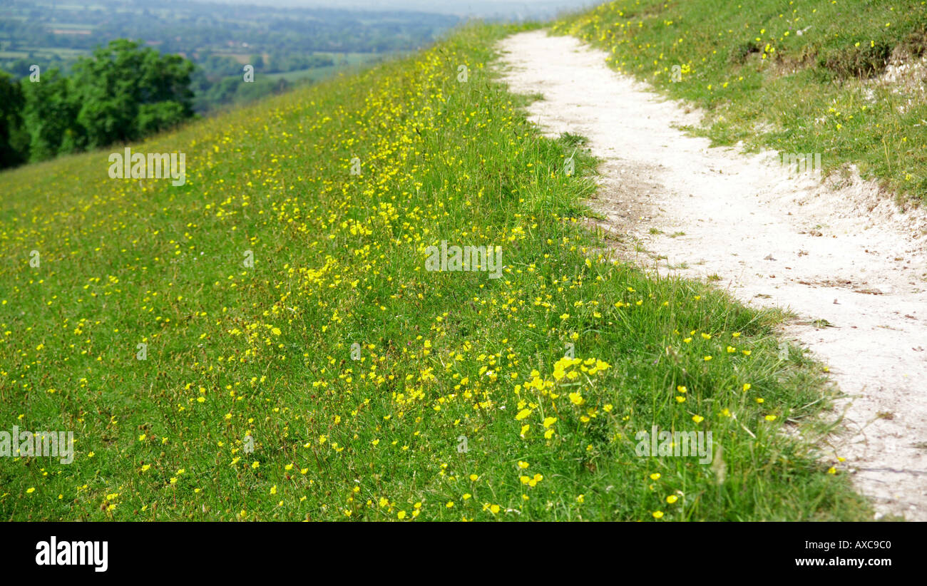 the chilterns views from ridgeway footpath beacon hill Stock Photo - Alamy