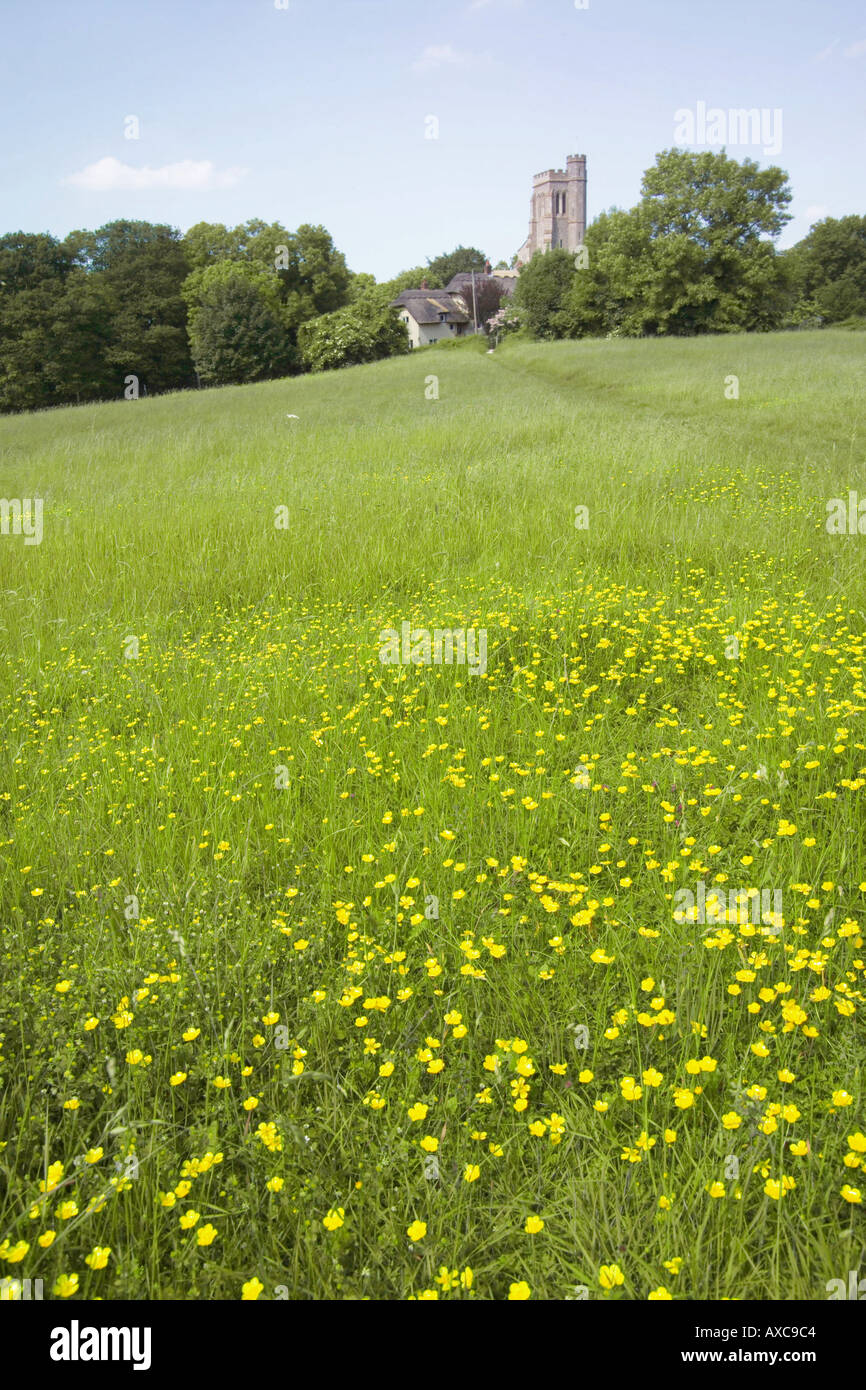 the chilterns views from ridgeway footpath beacon hill Stock Photo - Alamy