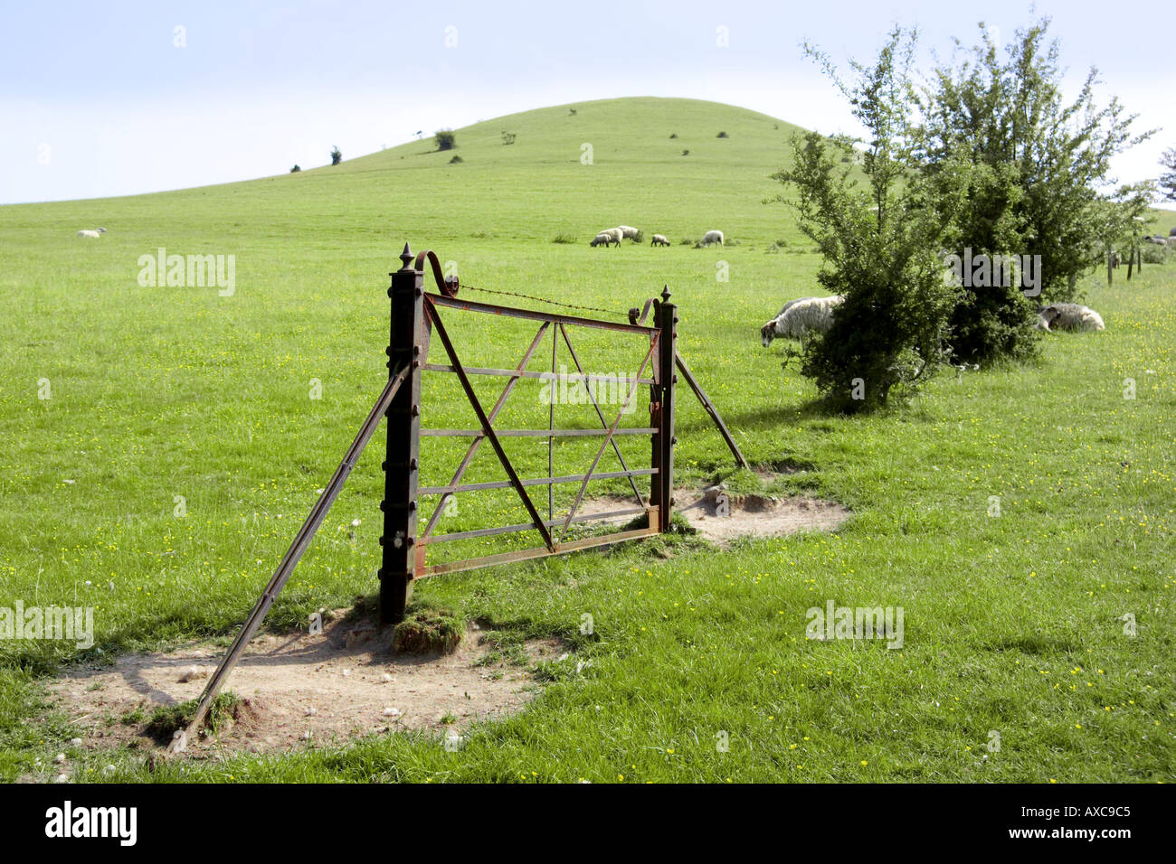 the chilterns views from ridgeway footpath beacon hill Stock Photo - Alamy
