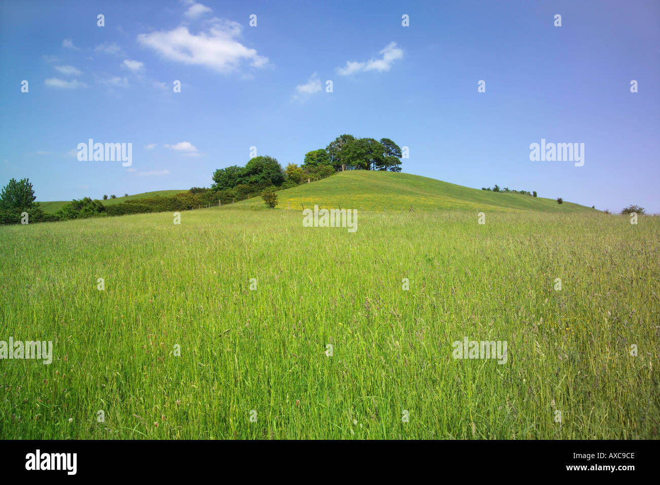 the chilterns views from ridgeway footpath beacon hill Stock Photo - Alamy
