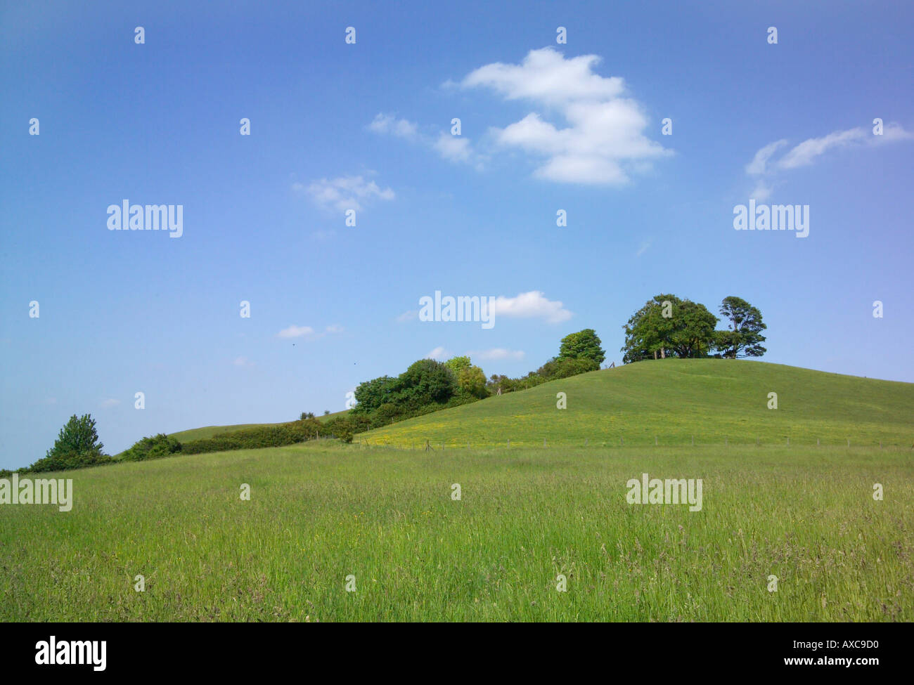 the chilterns views from ridgeway footpath beacon hill Stock Photo - Alamy